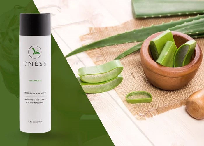 Maximize Results with Stem-Cell Hair Intensive Shampoo Therapy – OnessHair